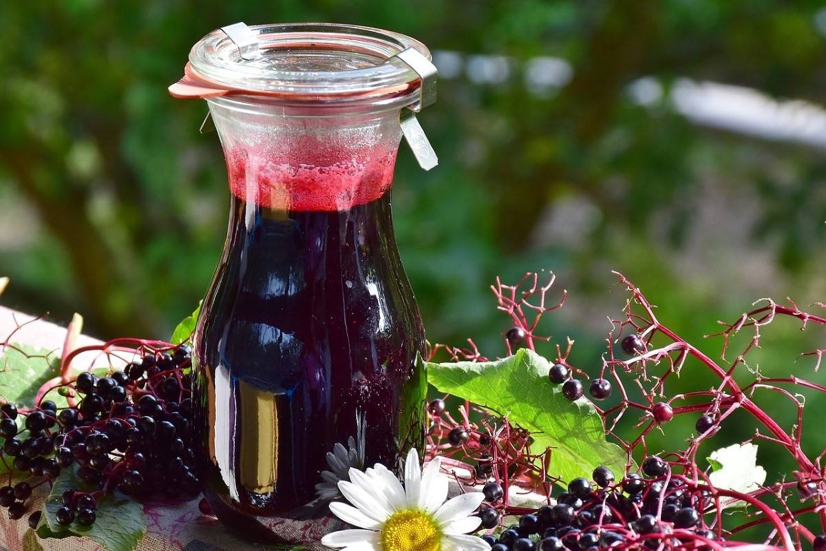 Einfach und schnell - Holundersaft selbst gemacht ohne Entsafter ...